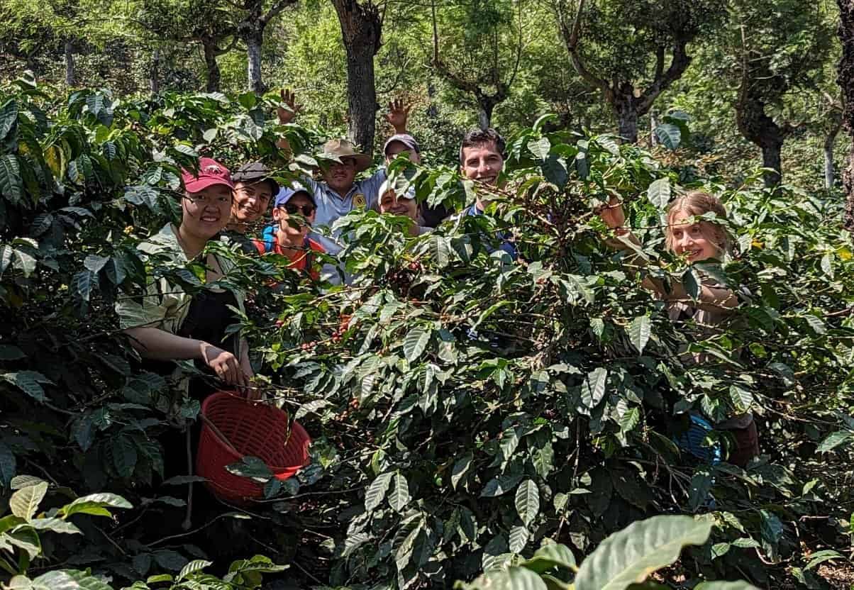 From Farm to Cup: Goizueta Students Gain Firsthand Insight into ...