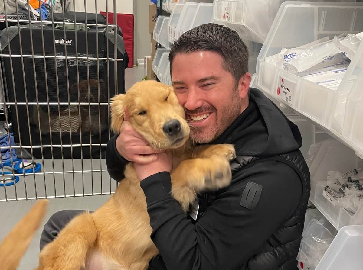 Meet David Glattstein: Changing the Game for Veterinary Emergency Care ...